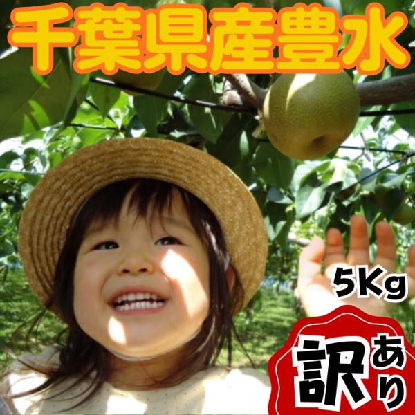 【爆買】 爆買いWeek ●商品情報内容物：国産梨　豊水内容量：１箱　５kg　３Ｌ保存方法：常温原産地：千葉県印西市生産者：恩田果樹園