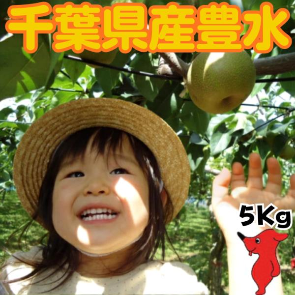 【爆買】 爆買いWeek ●商品情報内容物 ：国産梨　豊水　ほうすい内容量 ：１箱 : ５kg  ５Ｌ　　9個〜10個保存方法：常温原産地：千葉県印西市生産者：恩田果樹園