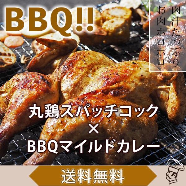 【送料無料 バーベキュー BBQ 鶏の丸焼き スパッチコック 丸鶏 1羽 ボリューム マイルドカレー グリル 生 肉 チルド アウトドア パーティー】生の状態で1.2kgの大きめの丸鶏を、ガラムマサラ・コリアンダーなどの13種類のスパイスを...