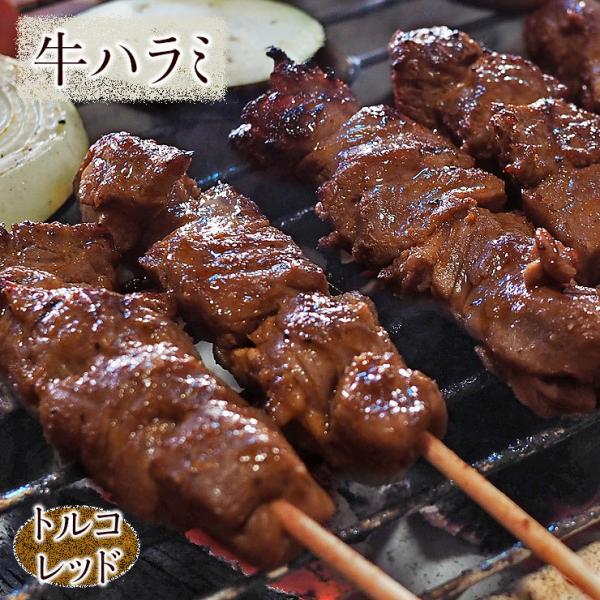 【発売日：2022年07月10日】【 お家で本格牛串焼き！牛ハラミ串 トルコレッドケバブ 5本 生 チルド 】柔らかく仕上げた牛ハラミを、ミネラルと旨みの豊富なヒマラヤ原産のピンク岩塩、パプリカ、トマト、コリアンダーを合わせた特製シーズニン...