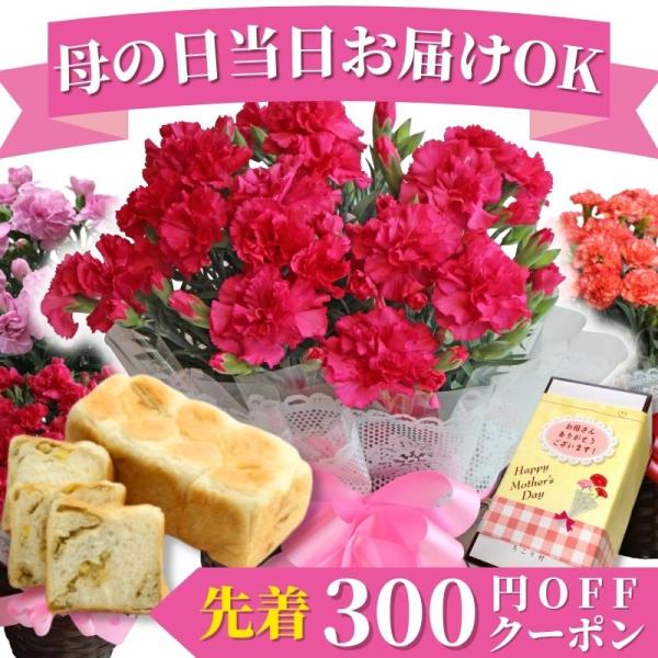 カーネーションと栗きんとん生食パンの母の日セット♪中津川の銘菓、栗きんとん7個分の栗を贅沢に練りこんだ『栗きんとん生食パン』。メディアでも取り上げられ、ちこり村で1日2000斤も売れた当店人気の生食パンです。ふわふわもちもち食感をそのままを...