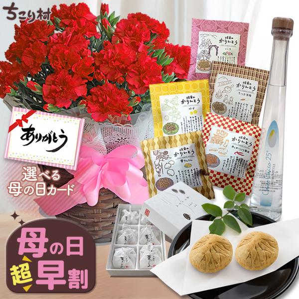 【発売日：2024年05月05日】普段言えない感謝の気持ちをお花に込めて、母の日に贈りものをしませんか？母の日にはやっぱり定番のカーネーション！！お花を贈られることって、女性にとってとても嬉しいこと。お花をもらって喜んでくれるお母さんの、さ...