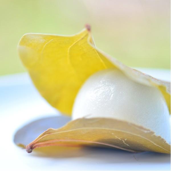 広島県三次市では柏の葉ではなく山帰来（サンキライ）の葉を使ったかしわ餅が食べられています。地域の味のかしわ餅を是非どうぞ。おもてなしギフト用にプレミアムサイズにしました。お日様の味をお届けします。やわらかく歯切れの良い太陽の味がする地元の味...