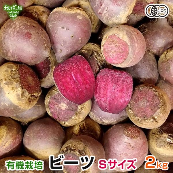 【商品名】有機栽培　ビーツ　Sサイズ【内容量】2kg（1個100g未満）【梱包】ダンボール【保存方法】新聞紙などで全体を包んで野菜室で保管ください。【有機野菜について】・見た目、サイズ共にムラがありますことをご容赦くださいませ。