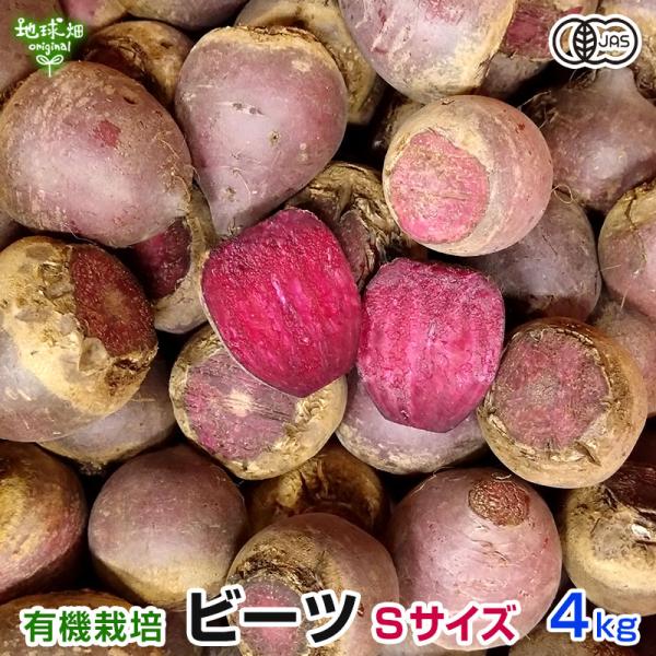 【商品名】有機栽培　ビーツ　Sサイズ【内容量】4kg（1個100g未満）【梱包】ダンボール【保存方法】新聞紙などで全体を包んで野菜室で保管ください。【有機野菜について】・見た目、サイズ共にムラがありますことをご容赦くださいませ。