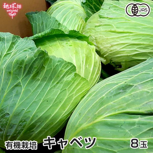 地球畑のキャベツキャベツはアブラナ科の多年草で、その祖先は青汁の原料として知られる「ケール」です。地球畑では、旬のキャベツならではの風味を味わって頂きたく、化学肥料・農薬を使用せずに育てています。生のままサラダはもちろん、さっぱりとした浅漬...