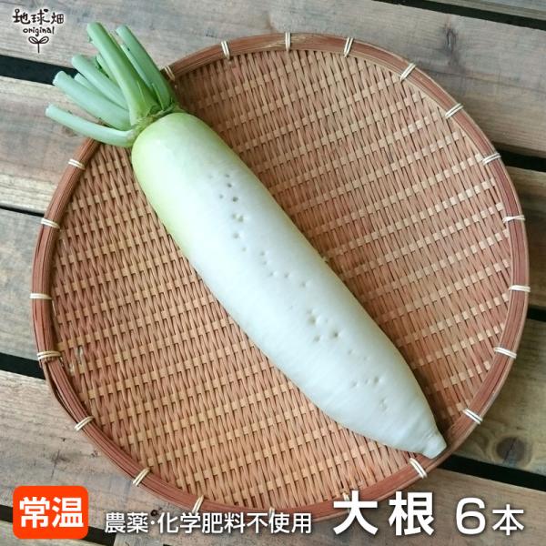 【商品名】大根（洗い・袋入り）農薬・化学肥料不使用【内容量】6本（1本あたり800g〜1.2kg）【保存方法】濡らした新聞紙などで全体を包んで袋に入れ、野菜室で保管ください。【配送】常温便