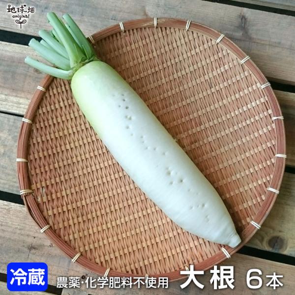 【商品名】大根（洗い・袋入り）農薬・化学肥料不使用栽培【内容量】6本（1本あたり800g〜1.2kg）【保存方法】濡らした新聞紙などで全体を包んで袋に入れ、野菜室で保管ください。【配送】冷蔵便