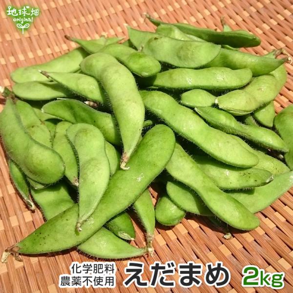 ◆地球畑の枝豆◆地球畑の枝豆は6月が旬。温暖な南薩地方を中心に県内各地で栽培されています。枝豆は豆類と野菜の両方の特徴を持った栄養価が高い野菜です。暑い夏のお酒のおつまみには最適の枝豆。地球畑では、旬の枝豆ならではの風味を味わって頂きたく、...