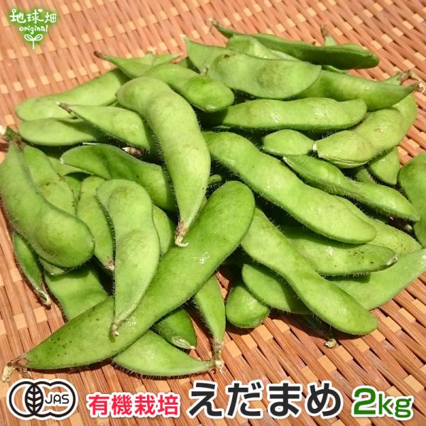 ◆地球畑の枝豆◆地球畑の枝豆は6月と10月が旬。温暖な南薩地方を中心に県内各地で栽培されています。枝豆は豆類と野菜の両方の特徴を持った栄養価が高い野菜です。暑い夏のお酒のおつまみには最適の枝豆。地球畑では、旬の枝豆ならではの風味を味わって頂...