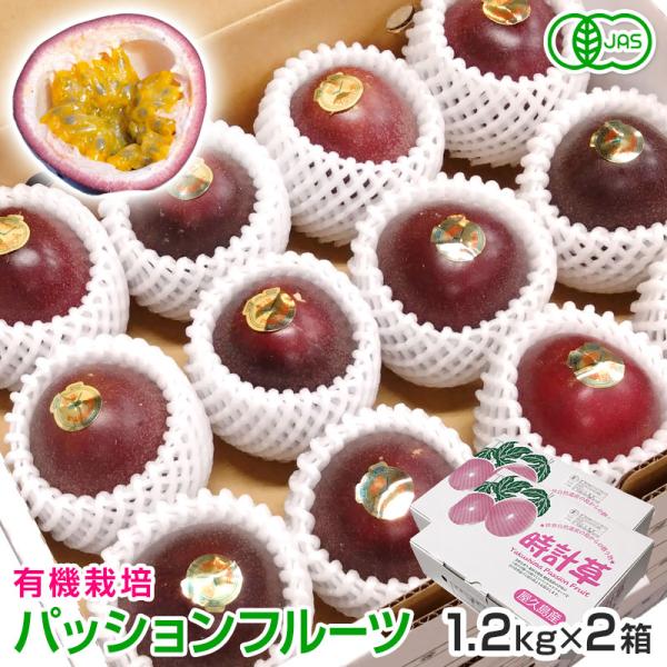 【地球畑の有機パッションフルーツ】花の形が時計に似ていることから、時計草とも呼ばれているパッションフルーツ。昔から世界中で愛され続けている南国フルーツです。地球畑では旬のパッションフルーツならではの風味を味わって頂きたく、化学肥料や農薬を使...