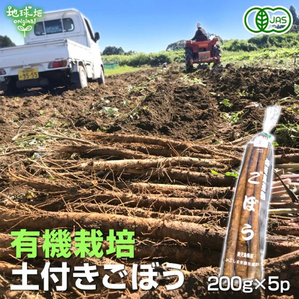 【商品名】有機栽培　ごぼう（転換期間中を含む）【内容量】200g×5p（1パック2〜5本入り）【産地】鹿児島県産・宮崎県産【保存方法】濡らした新聞紙などで全体を包んで袋に入れ、野菜室で保管ください。【有機野菜について】・土付きにてお届けしま...