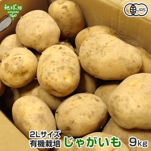 ◆地球畑の有機じゃがいも◆毎日の食卓に欠かせない存在のじゃがいも。県内各地で栽培されており、それぞれの気候に合わせて春と秋の年に2回収穫が行われます。地球畑では、旬のじゃがいもならではの風味を味わって頂きたく、化学肥料・農薬を使用せず育てて...