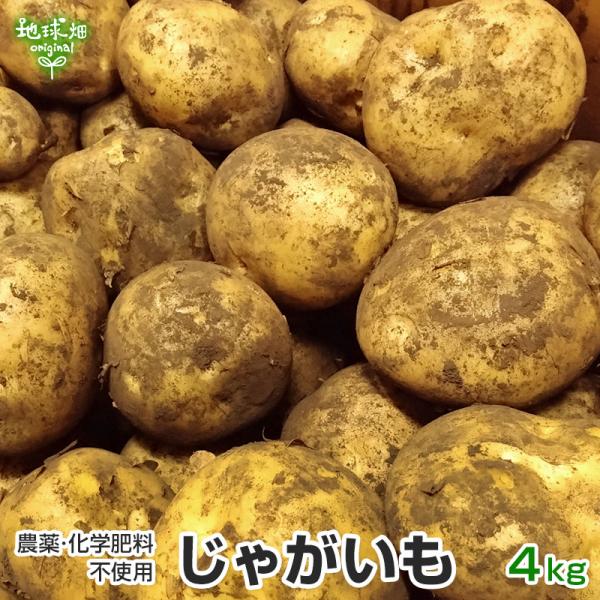毎日の食卓に欠かせない存在のじゃがいも。地球畑では、旬のじゃがいもならではの風味を味わって頂きたく、化学肥料・農薬を使用せず育てています。コロッケやポテトサラダ、肉じゃがやカレー、シチューなどはもちろん、生産者おすすめの食べ方は、蒸かしたじ...