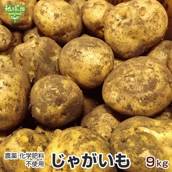 毎日の食卓に欠かせない存在のじゃがいも。地球畑では、旬のじゃがいもならではの風味を味わって頂きたく、化学肥料・農薬を使用せず育てています。コロッケやポテトサラダ、肉じゃがやカレー、シチューなどはもちろん、生産者おすすめの食べ方は、蒸かしたじ...