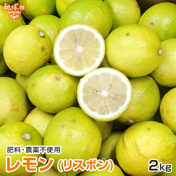 ◆地球畑のレモン(リスボン)◆リスボンレモンは、他の品種のレモンと比較すると、比較的果汁が多く、酸味と香りが強いのが特徴です。地球畑では、旬のレモンの風味を味わって頂きたく、肥料や農薬を使用せず育てています。足元に生えている雑草を踏み倒し、...