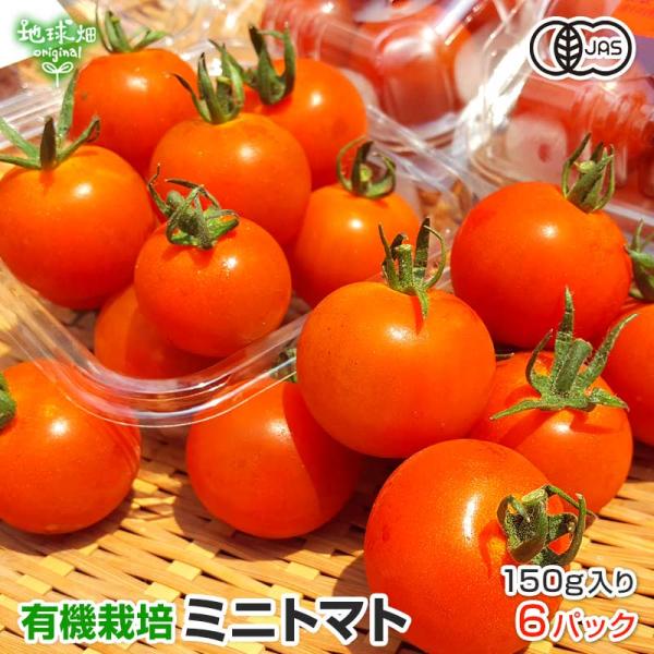 ◆地球畑のミニトマト◆地球畑のミニトマトの収穫は春先〜初夏にかけて。様々な品種があり、果実の大きさが5〜30g程の小さなトマトを総称して「ミニトマト」と呼ぶそうです。地球畑では、旬のミニトマトならではの風味を味わって頂きたく、化学肥料・農薬...