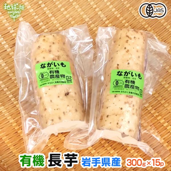 ■岩手県産 有機長芋【数量限定】長芋はヤマノイモ科の根菜で、「山芋」はこのヤマノイモ科に属する長芋や自然薯、ダイジョなどの総称です。長芋は他の山芋と比べて水分が多く、シャキシャキとした食感が特徴。すりおろした「とろろ」もこの長芋です。長芋な...