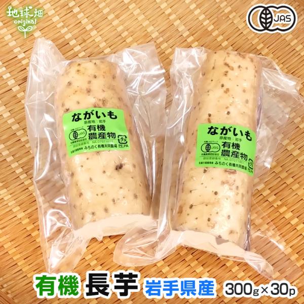 ■岩手県産 有機長芋【数量限定】長芋はヤマノイモ科の根菜で、「山芋」はこのヤマノイモ科に属する長芋や自然薯、ダイジョなどの総称です。長芋は他の山芋と比べて水分が多く、シャキシャキとした食感が特徴。すりおろした「とろろ」もこの長芋です。長芋な...