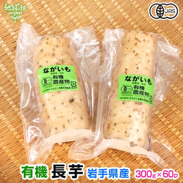 ■岩手県産 有機長芋【数量限定】長芋はヤマノイモ科の根菜で、「山芋」はこのヤマノイモ科に属する長芋や自然薯、ダイジョなどの総称です。長芋は他の山芋と比べて水分が多く、シャキシャキとした食感が特徴。すりおろした「とろろ」もこの長芋です。長芋な...