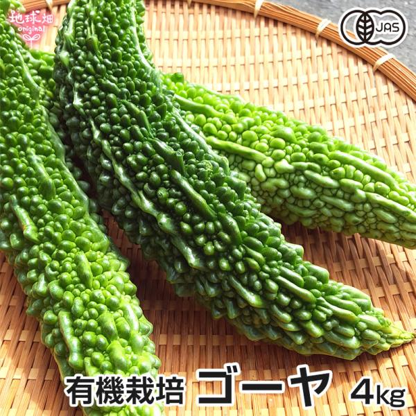 【商品名】有機栽培　にがうり【内容量】4kg(1本200g以上)　約15〜16本（有機JAS認証マーク付き）【梱包】地球畑ダンボール【お届けについて】冷蔵便【注意事項】配送中の揺れによる表面の傷みがある場合がございます。到着後は冷蔵庫（野菜...