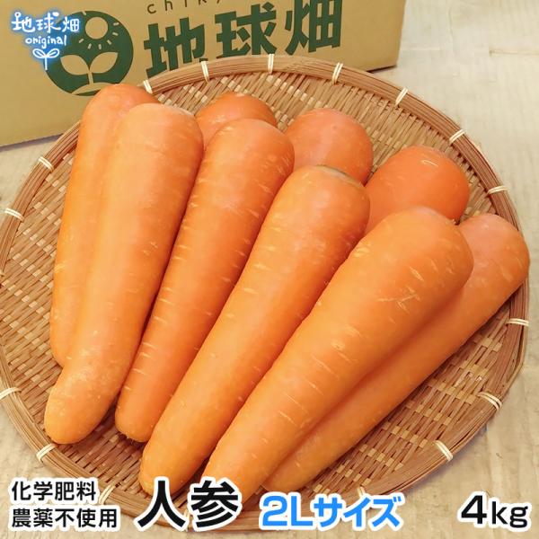 ◆地球畑の人参◆南国鹿児島・宮崎の温暖な気候の中、太陽の光をたっぷり浴びてすくすくと育ちました。昼と夜の寒暖の差で、ぎゅっと濃縮された甘みが特徴です。1本300g〜600gの2Lサイズです。地球畑の人参は、皆様に安心してお召し上がり頂ける様...