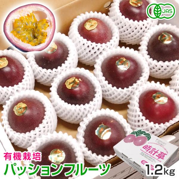 【地球畑の有機パッションフルーツ】花の形が時計に似ていることから、時計草とも呼ばれているパッションフルーツ。昔から世界中で愛され続けている南国フルーツです。地球畑では旬のパッションフルーツならではの風味を味わって頂きたく、化学肥料や農薬を使...