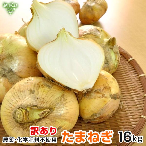 ◆地球畑の玉ねぎ◆9月に種をまき、11〜12月に苗を植え、3〜6月に収穫時期を迎えます。気候にあわせて、春先に大きく成長する、超極早生・極早生・早生の品種を育てています。【特徴】・(〜4月迄)皮の色が薄く、みずみずしくて生食でも辛みが少ない...