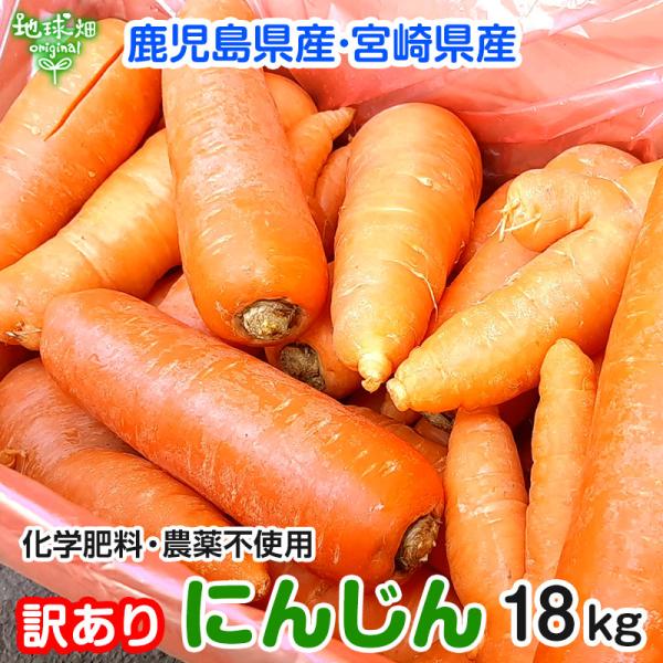 ◆地球畑の人参◆南国鹿児島・宮崎の温暖な気候の中、太陽の光をたっぷり浴びてすくすくと育ちました。昼と夜の寒暖の差で、ぎゅっと濃縮された甘みが特徴です。地球畑では、旬の人参ならではの風味を味わって頂きたく、土づくりからこだわって育てています。...