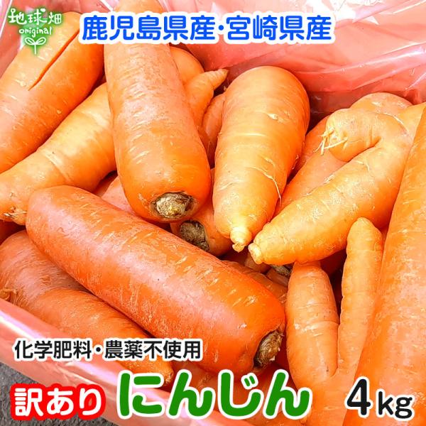 ◆地球畑の人参◆南国鹿児島・宮崎の温暖な気候の中、太陽の光をたっぷり浴びてすくすくと育ちました。昼と夜の寒暖の差で、ぎゅっと濃縮された甘みが特徴です。地球畑では、旬の人参ならではの風味を味わって頂きたく、土づくりからこだわって育てています。...