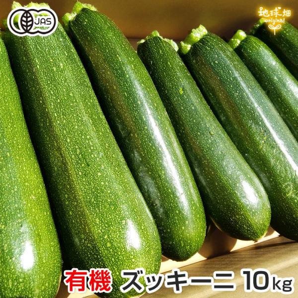 ◆地球畑のズッキーニ◆きゅうりの形に似ていますがズッキーニは南瓜の一種。花が咲いてから約1週間で25cm程の長さまで成長します。地球畑では5〜6月と10〜11月に収穫の時期を迎えます。雨風の影響を受けて傷になりやすいため、5月から梅雨が始ま...