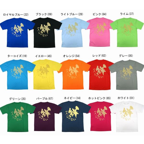 チトセスポーツオリジナル ミズノ「絆・・一人じゃない」 87wt830-b オールスポーツ 文字入りTシャツ ユニ 2017SS ゆうパケット（メール便）対応 在庫品