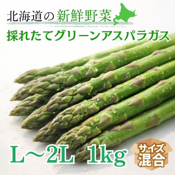 チトセスポーツは北海道の食を応援します！※5月中旬頃より順次発送いたしますが天候により発送が前後する場合がございます。※こちらの商品は諸般の事情により、沖縄県・離島は配送除外区域となります。ご注文を頂いた場合でも自動的にキャンセルとさせてい...
