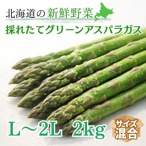 チトセスポーツは北海道の食を応援します！※5月中旬頃より順次発送いたしますが天候により発送が前後する場合がございます。※こちらの商品は諸般の事情により、沖縄県・離島は配送除外区域となります。ご注文を頂いた場合でも自動的にキャンセルとさせてい...