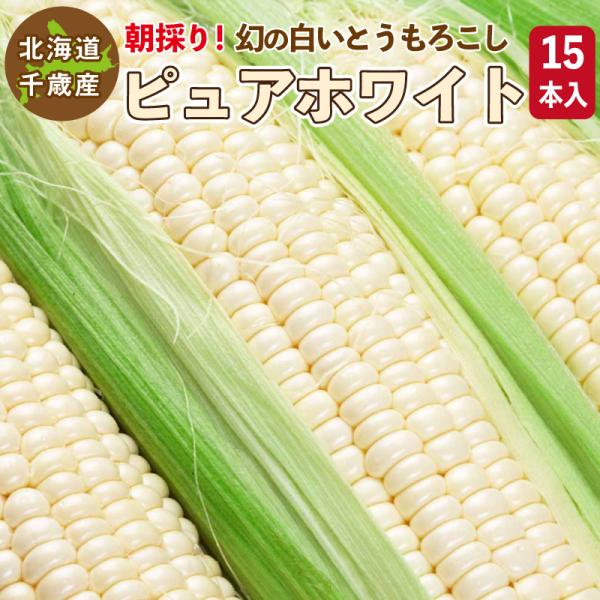 【発売日：2026年08月10日】■商品名：ピュアホワイト　15本入り■生産地：北海道千歳市■内容量：白いとうもろこし ピュアホワイト　L〜LLサイズ　15本■特徴：昼夜の寒暖差がある北海道だからこそどこにも負けない甘くておいしいとうもろこ...