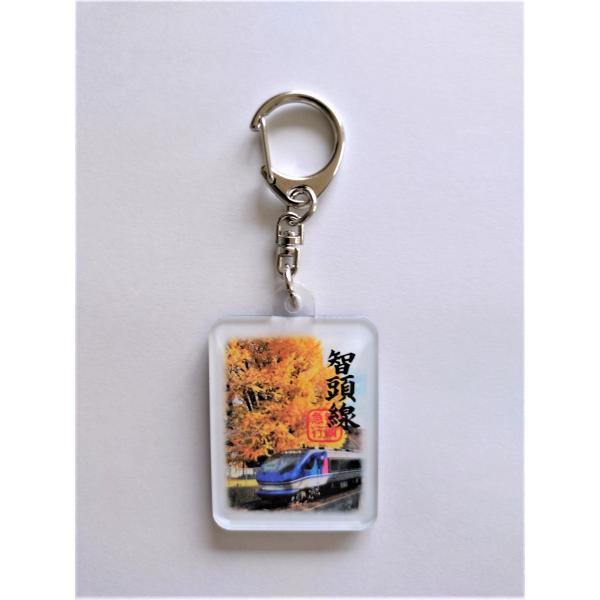 智頭急行の鉄印（限定版）をデザインした「鉄印キーホルダー」の販売を開始します！裏面は鉄印帳の表紙のデザインとなっております。サイズ：高さ52mm×幅34.6mm