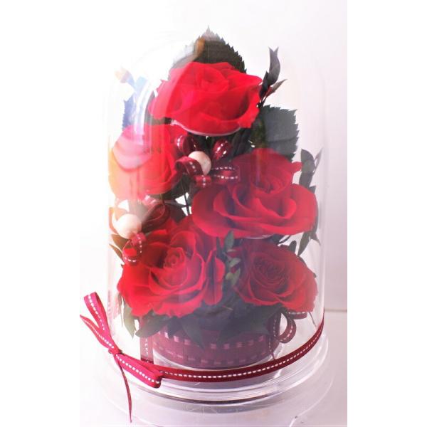 開店開業祝い　誕生日　退職　古希・喜寿・傘寿・米寿・卒寿・白寿・各種祝い花・お見舞い・結婚祝いに最適なドーム型アレンジメントのお花をお届け。枯れない、水遣り不要、お手入れ簡単クリアケース入り。赤系は情熱的な想い愛情を表し仕事の成功、やる気、...