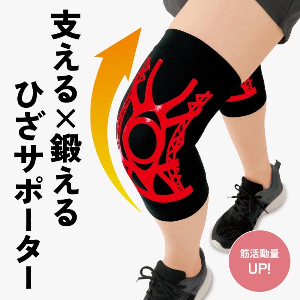 着けて歩くだけ。本商品は、ひざの専門家であるからだ回復オフィス院長 織田茂裕先生監修のもと開発された、「支える」と「鍛える」の2つのアプローチを併せ持つひざサポーターです。■ テーピング理論に基づくサポート設計織田式テーピング理論を応用し、...