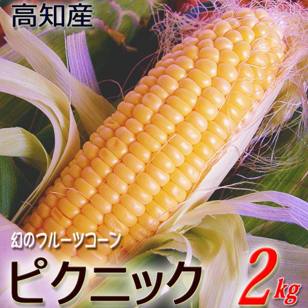 【名称】フルーツコーン【品種名】ピクニック【内容量】約２キロ（通常は7〜11本くらい入っています）※味の良いものを選んでお届けしますので、本数はこちらにおまかせ下さい。小さすぎるものは出荷しませんので。【ご注意】ご予約品です。お届け日はご指...