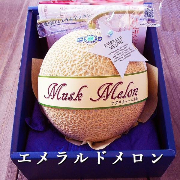 【名称】マスクメロン【内容】約1.3キロ×１玉【産地】高知県香南市夜須【荷姿】高級化粧箱入【エメラルドメロンとは？】温暖な気候と豊かな土壌、そして熟練した技術で一本の苗からたった「一玉だけ」丁寧に育てられたエメラルドメロンは、濃厚な甘さとジ...