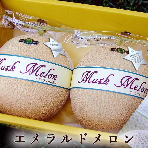 【名称】マスクメロン【内容】約1.3キロ×２玉【産地】高知県香南市夜須【荷姿】高級化粧箱入【エメラルドメロンとは？】温暖な気候と豊かな土壌、そして熟練した技術で一本の苗からたった「一玉だけ」丁寧に育てられたエメラルドメロンは、濃厚な甘さとジ...