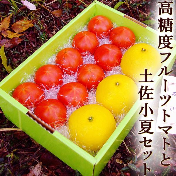 【名称】高糖度フルーツトマトと土佐小夏のセット【内容】高糖度フルーツトマト約６００ｇ、小夏３玉（化粧箱入り）【サイズ】フルーツトマト：Ｍサイズ、小夏：Ｍ〜Ｌサイズ【産地】高知県【栽培方法】ハウス栽培（温室栽培）【ご用途】ご贈答用（「母の日用...