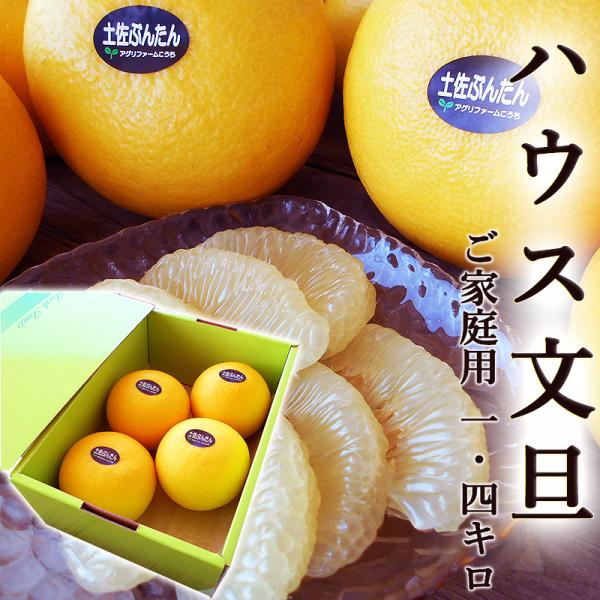 【名称】温室文旦（ハウスぶんたん）【内容量】約１．４キロ【玉数】４〜５玉【産地】高知県【荷姿】化粧箱入【「温室文旦」とは？】「温室文旦（ハウスぶんたん）」は、2月から出荷が始まる露地ものの「土佐文旦」を、温室で丁寧に育てたもの。歳末だけ出回...