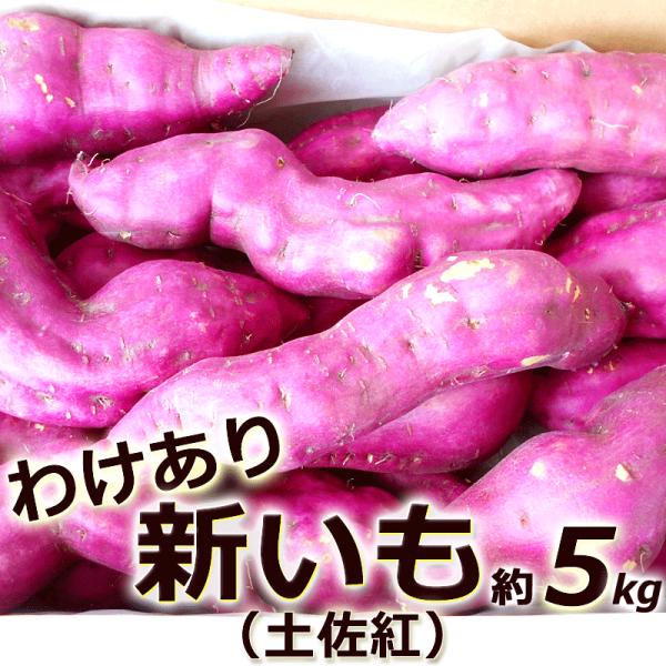 【内容】わけあり新さつまいも さつまいも 5kg さつま芋 新さつまいも【内容量】約５キロ【お芋の個数】15〜20個ほど【産地】高知県又は徳島産【品種】高系14号【サイズ】М又はＬサイズ【特徴】高系14号は、高知県で1945年（昭和20年）...