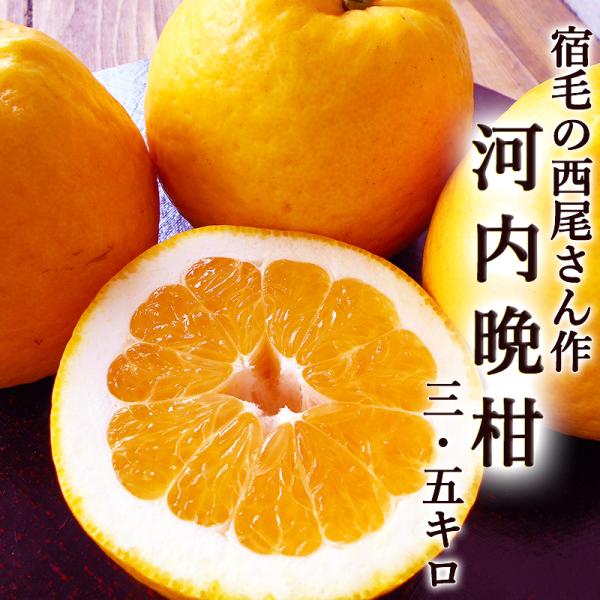 【名称】河内晩柑【内容量】３．５キロ【玉数】８〜１１玉ほど【産地】高知県宿毛市【生産者さん】西尾慶三さん【「河内晩柑」とは？】熊本の河内町で発見された文旦の血を引く晩生柑橘です。「夏ぶんたん」「美生柑」「宇和ゴールド」などとも呼ばれます。文...