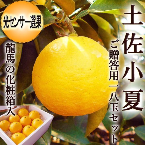 【内容】土佐小夏（ニューサマーオレンジ・日向夏）【内容量】１８玉（約2.7キロ前後）（龍馬の化粧箱入）【サイズ】Ｌサイズ【栽培】ハウス栽培【産地】高知県【父の日特典】「母の日用カード」をお付けさせていただきます。手書きの文言はございませんの...