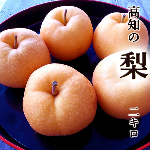 【名称】梨（なし）【内容量】2kg【玉数】4〜6玉 【生産地】高知県【品種】幸水・凛夏・豊水などから、その時期に美味しい梨をお届けいたします。【高知の梨】高知の梨といえば、なんといっても「新高梨」ですが、その前にも温暖な気候をいかしさまざま...