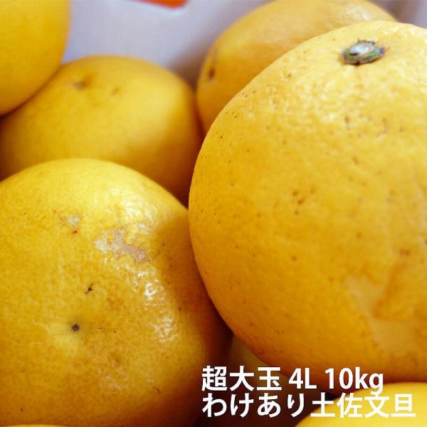 【内容】土佐ぶんたん（露地文旦）【内容量】約１０キロ【ワケアリ】正規品としては出荷できない見た目の悪い「ワケアリ品」をお届けします。悪いのは見た目だけ。お味はきちんと吟味してお届けしますので、ご安心ください。【サイズ】超大玉（３Ｌまたは４Ｌ...