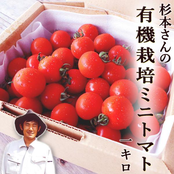 【名称】杉本さんの有機栽培ミニトマト ミニトマト 品種 【内容】ミニトマト【内容量】約１キロ（50〜70玉ほど）【1個あたりの重量】14〜22グラムほど【品種】TY千果【生産者】杉本さん【産地】高知県長岡郡大豊町津家桧生（はるひ畑）【味の特...