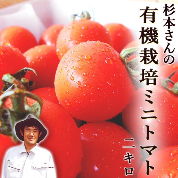 【名称】杉本さんの有機栽培ミニトマト ミニトマト 品種 【内容】ミニトマト【内容量】約２キロ（1キロ×2箱）（100〜140玉ほど）【1個あたりの重量】14〜22グラムほど【品種】TY千果【生産者】杉本さん【産地】高知県長岡郡大豊町津家桧生...
